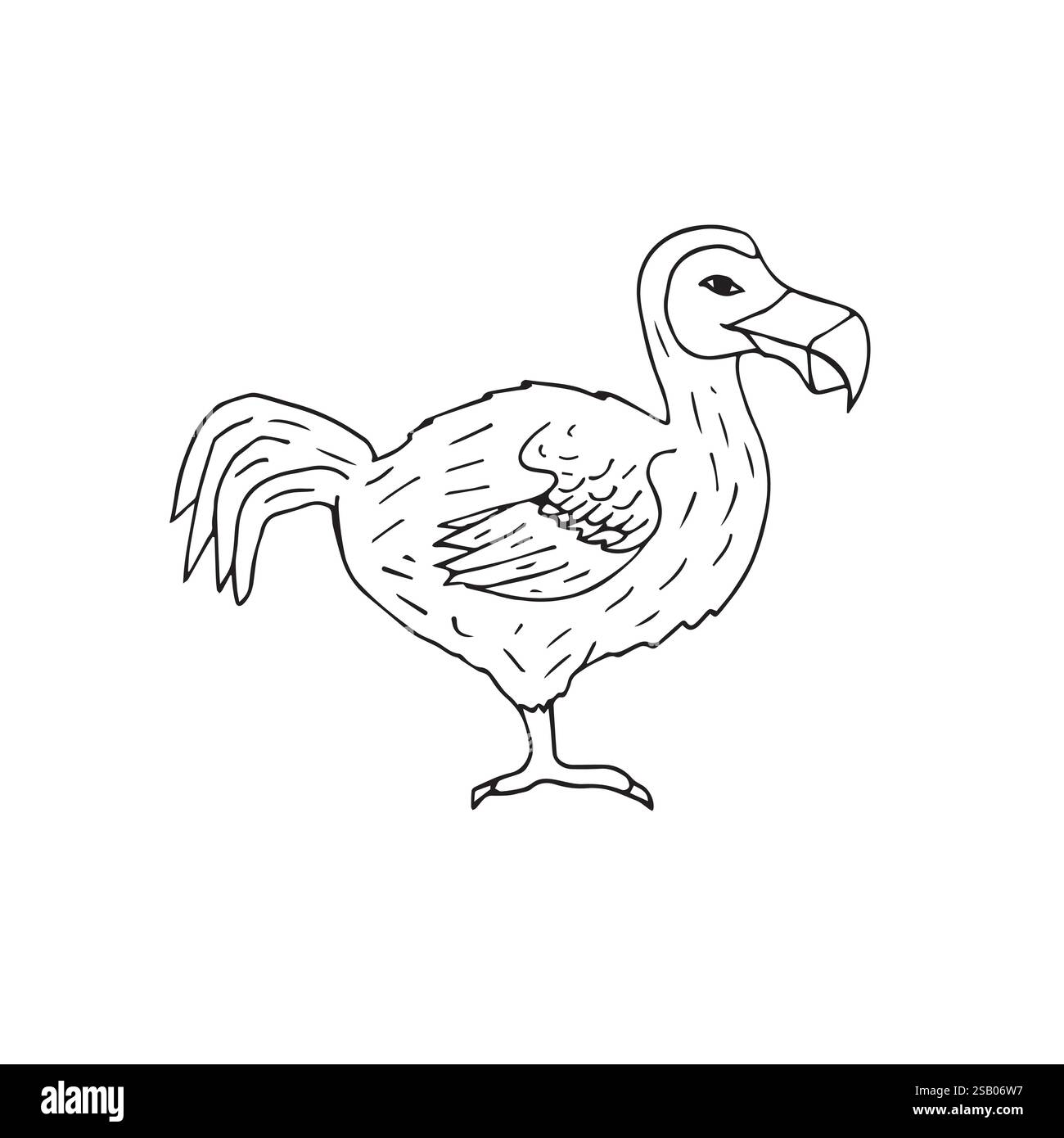 Vector hand drawn doodle sketch dodo bird isolated on white background Stock Vector Image & Art ...