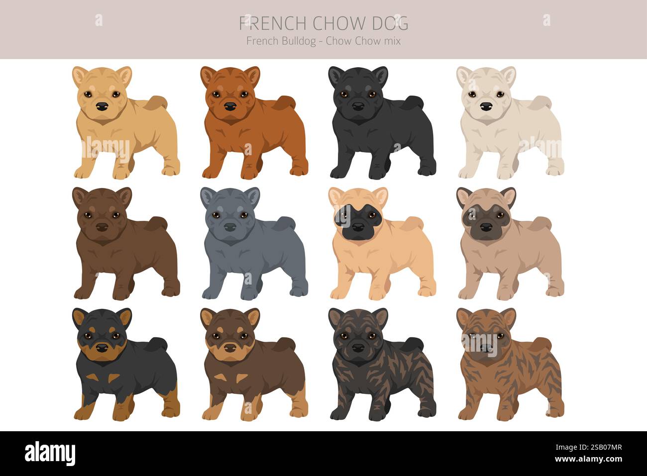 French chow dog clipart. French Bulldog - Chow chow mix. All possible ...