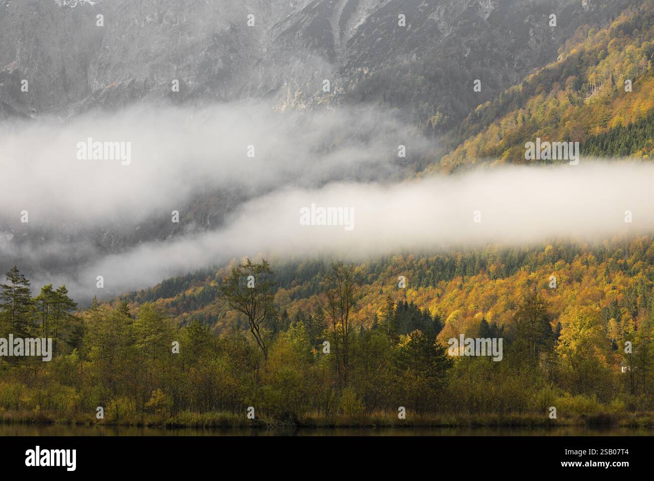 At lake Almsee. A forest in full fall foliage and some fog above it ...