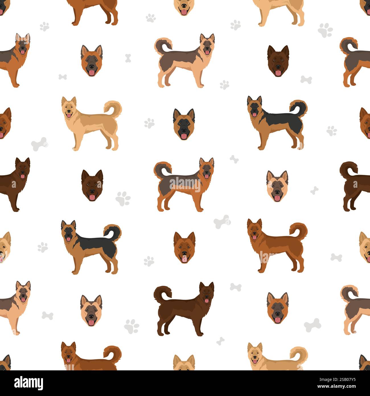 Chow Shepherd mix seamless pattern. Chow chow German Shepherd mix ...