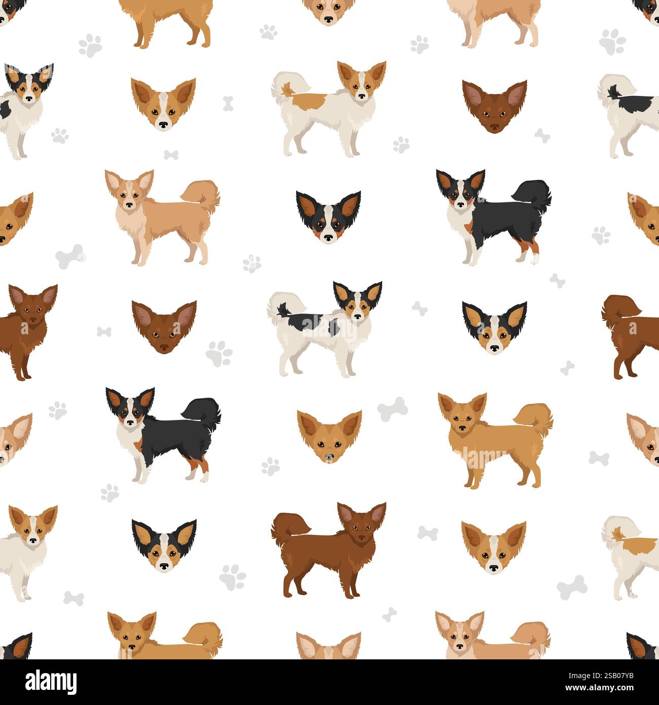 Chion seamless pattern. Chihuahua Papillon mix. Different coat colors ...