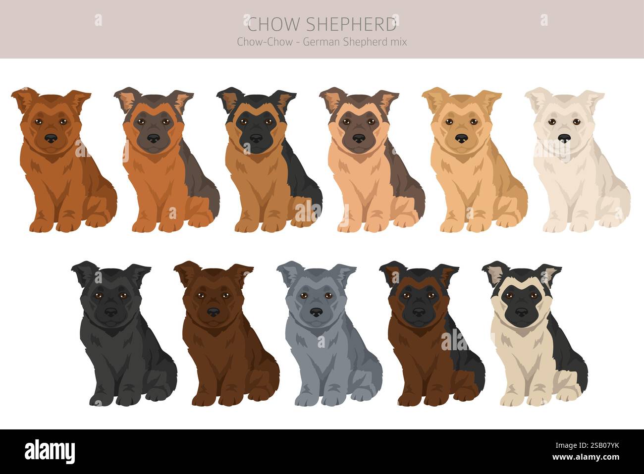 Chow Shepherd mix clipart. Chow chow German Shepherd mix. Different ...
