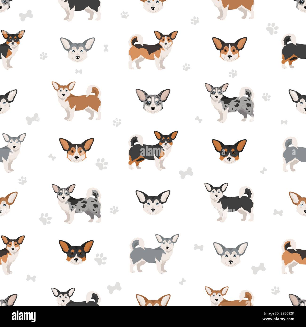 Corgi Husky mix seamless pattern. Welsh Corgi Siberian Husky mix ...