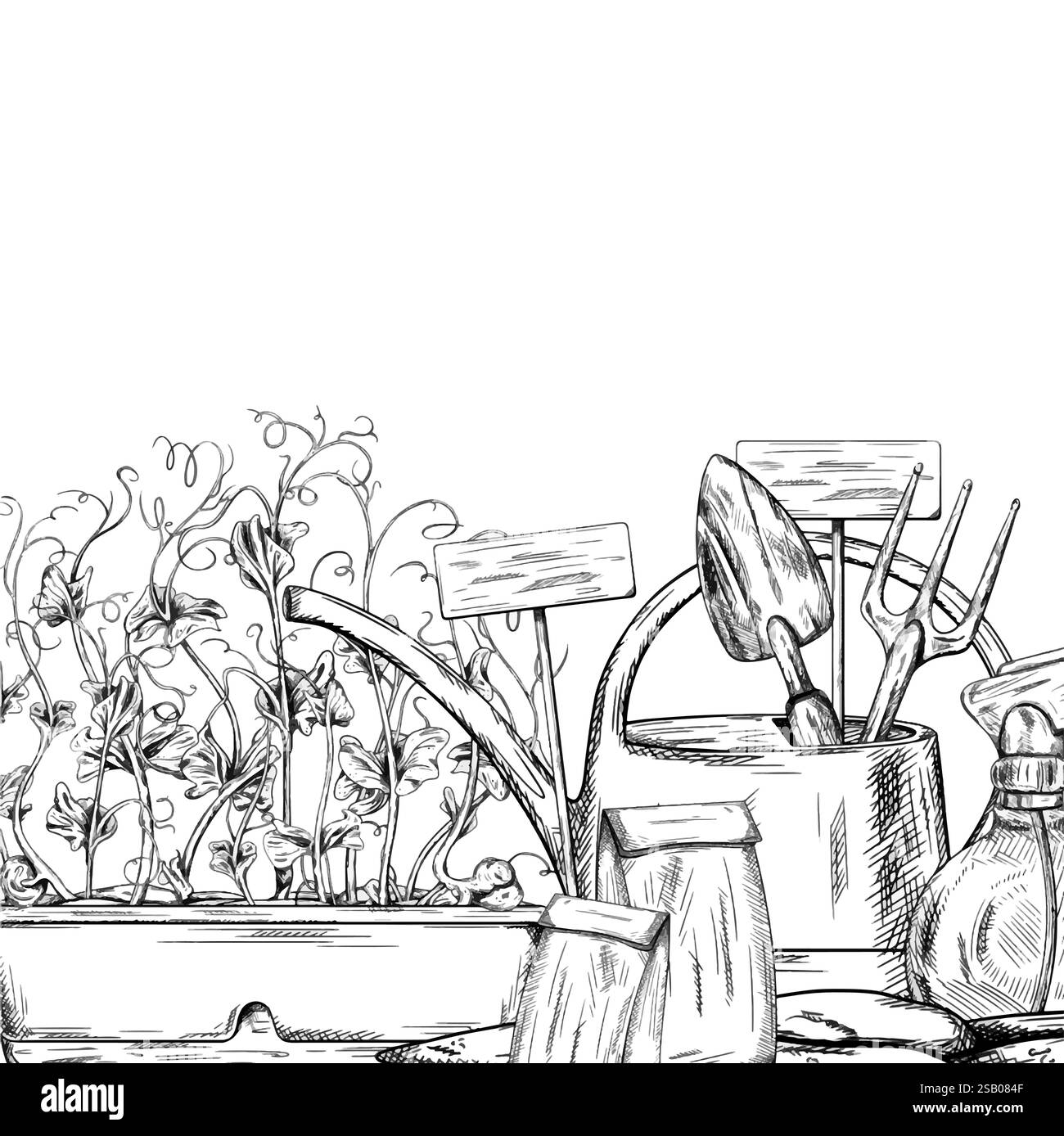 Cultivation seeds Black and White Stock Photos & Images - Alamy