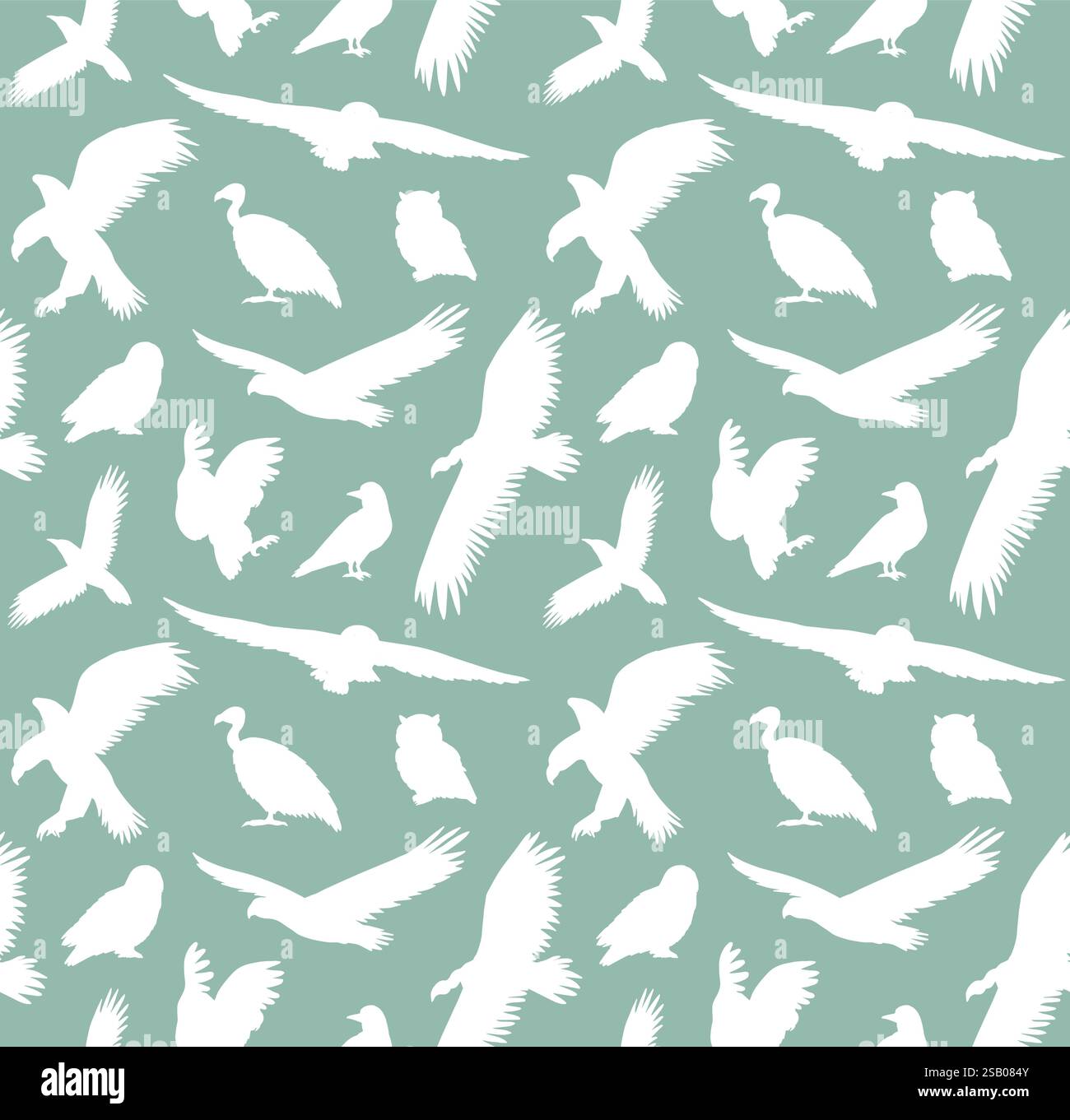 Vector seamless pattern of white hand drawn wild predator birds ...