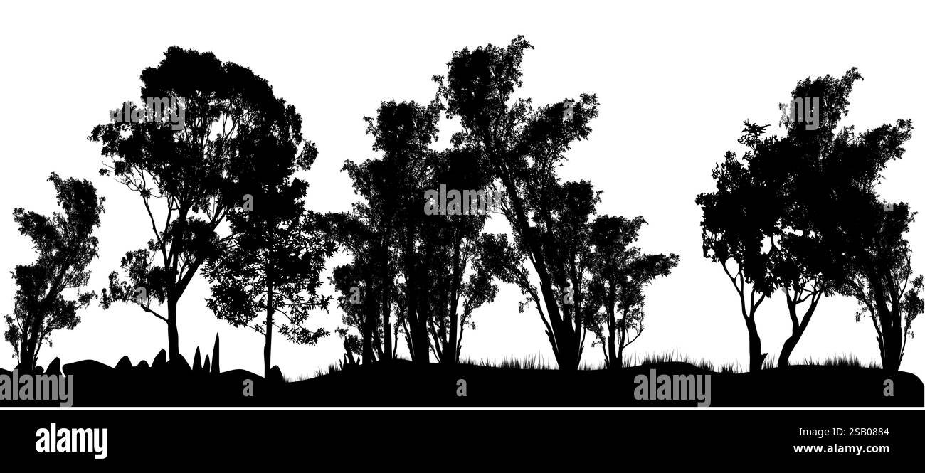 silhouette of many different gum trees Australian gum trees Stock ...