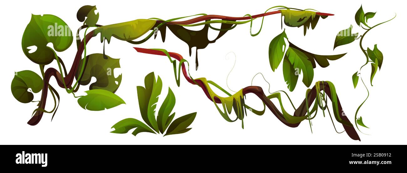 Liana vines set isolated on white. Vector cartoon illustration of ...