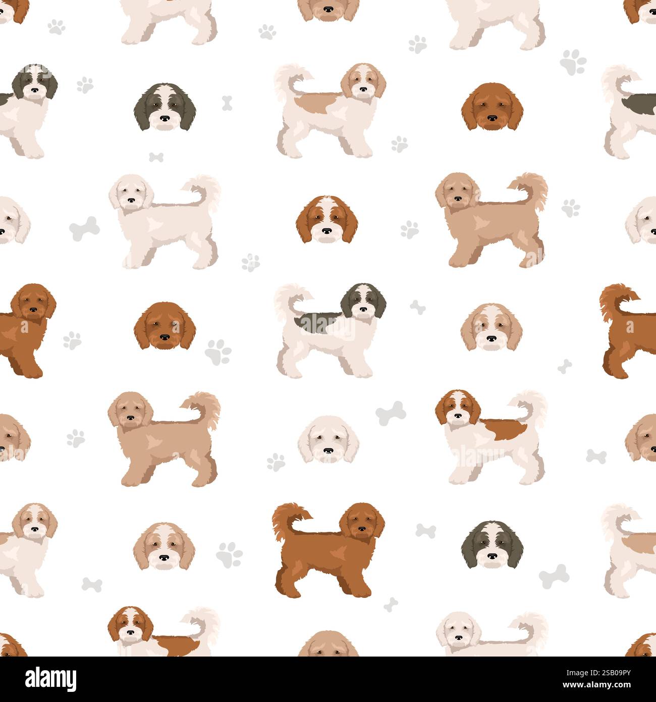 Cockachon seamless pattern. Cocker Spaniel Bichon Frise mix. Different ...