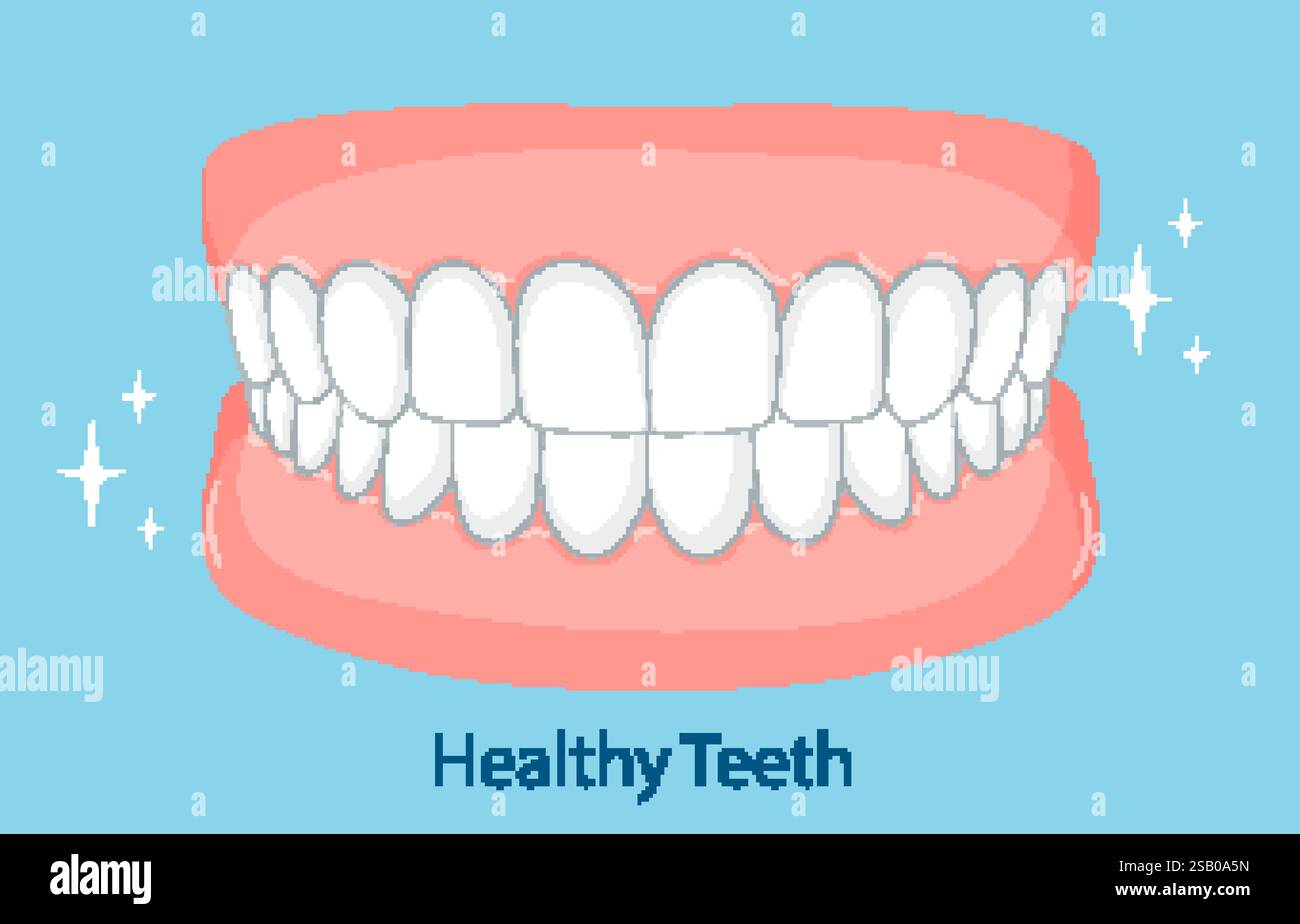 Illustration of clean, white teeth with sparkles Stock Vector Image ...