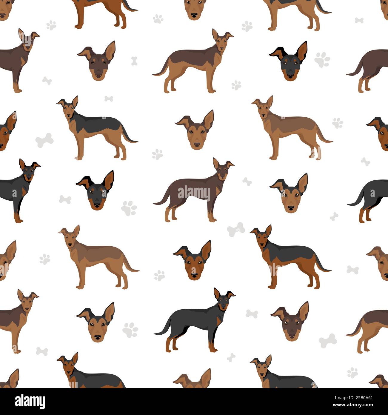 Doberman Malinois seamless pattern. Belgian Malinois Doberman Pinscher ...