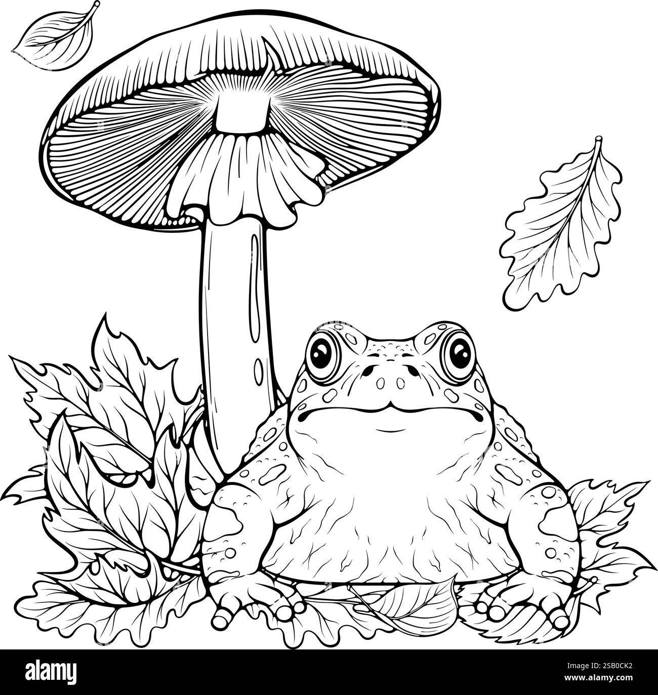Mushroom with frog Cut Out Stock Images & Pictures - Alamy