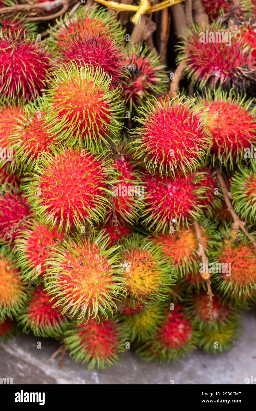 Africa Tanzania, Zanzibar, Stonetown, old town, ripe rambutan, choki ...