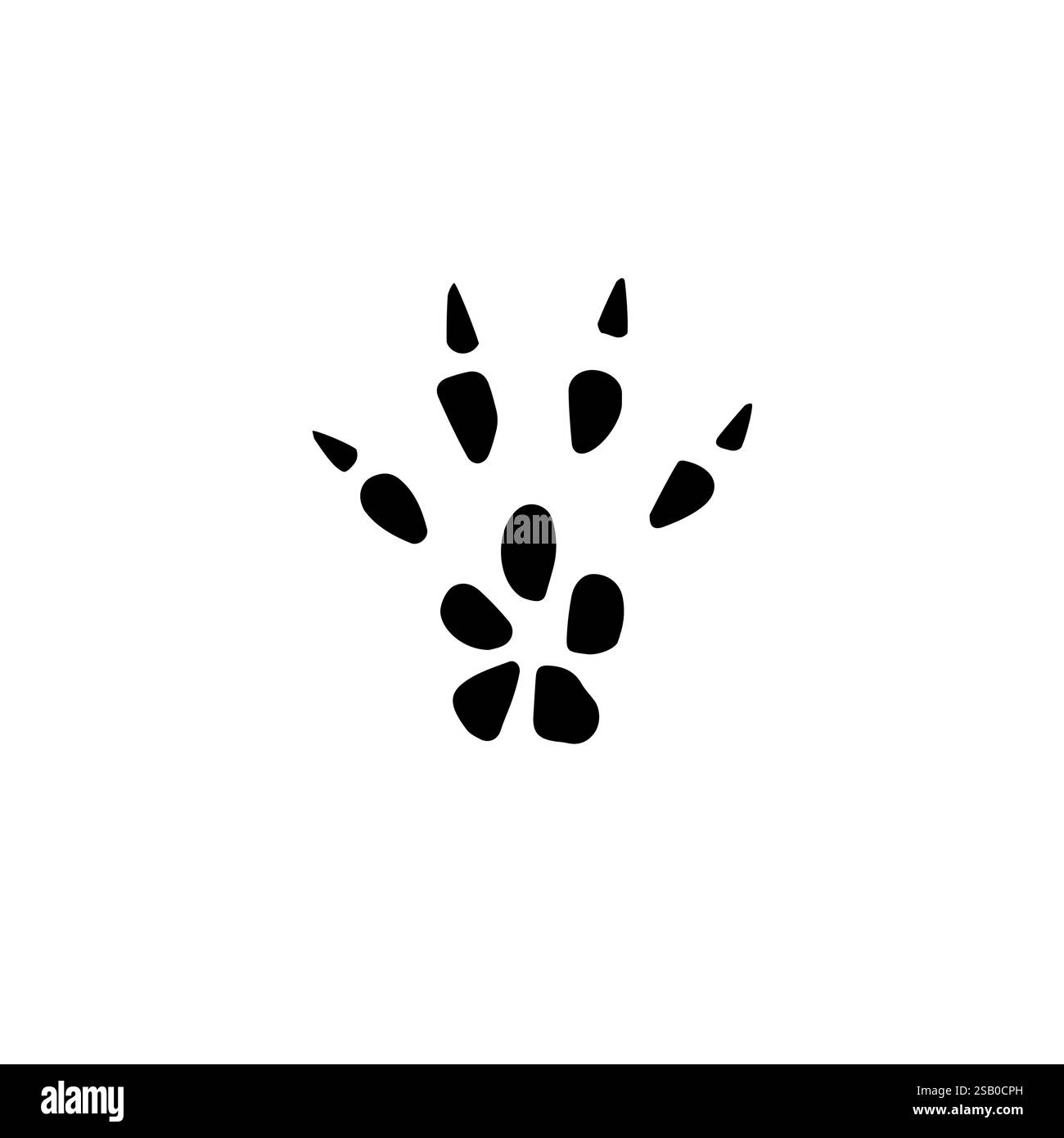 Vector hand drawn rat rodent paw foot print isolated on white ...