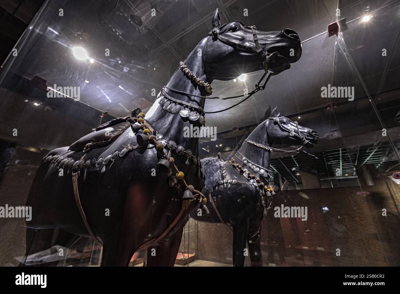 Ancient artifacts collection at Nubian Museum in Aswan Upper Egypt ...