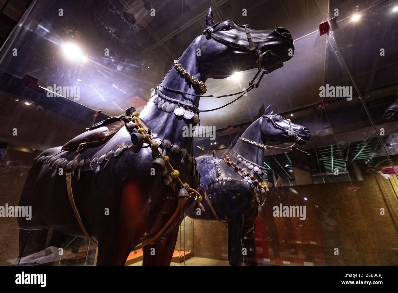 Ancient artifacts collection at Nubian Museum in Aswan Upper Egypt ...