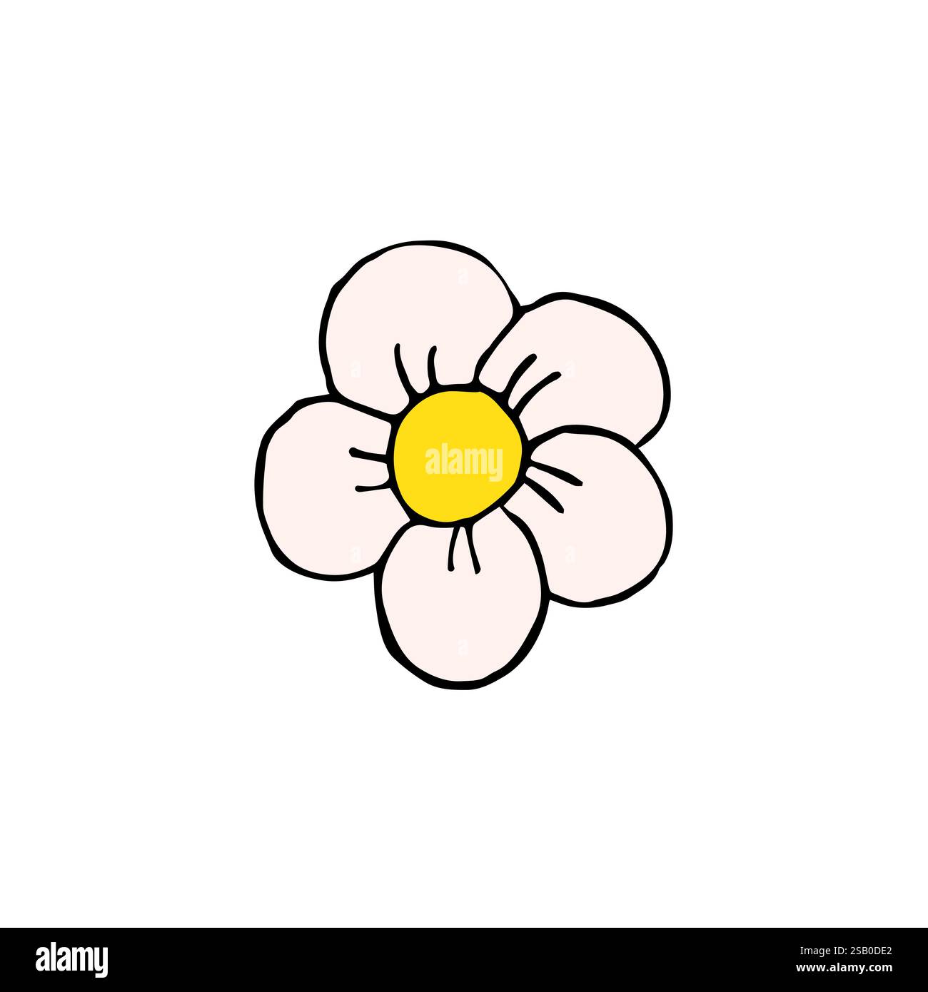 Vector hand drawn doodle sketch daisy flower isolated on white ...