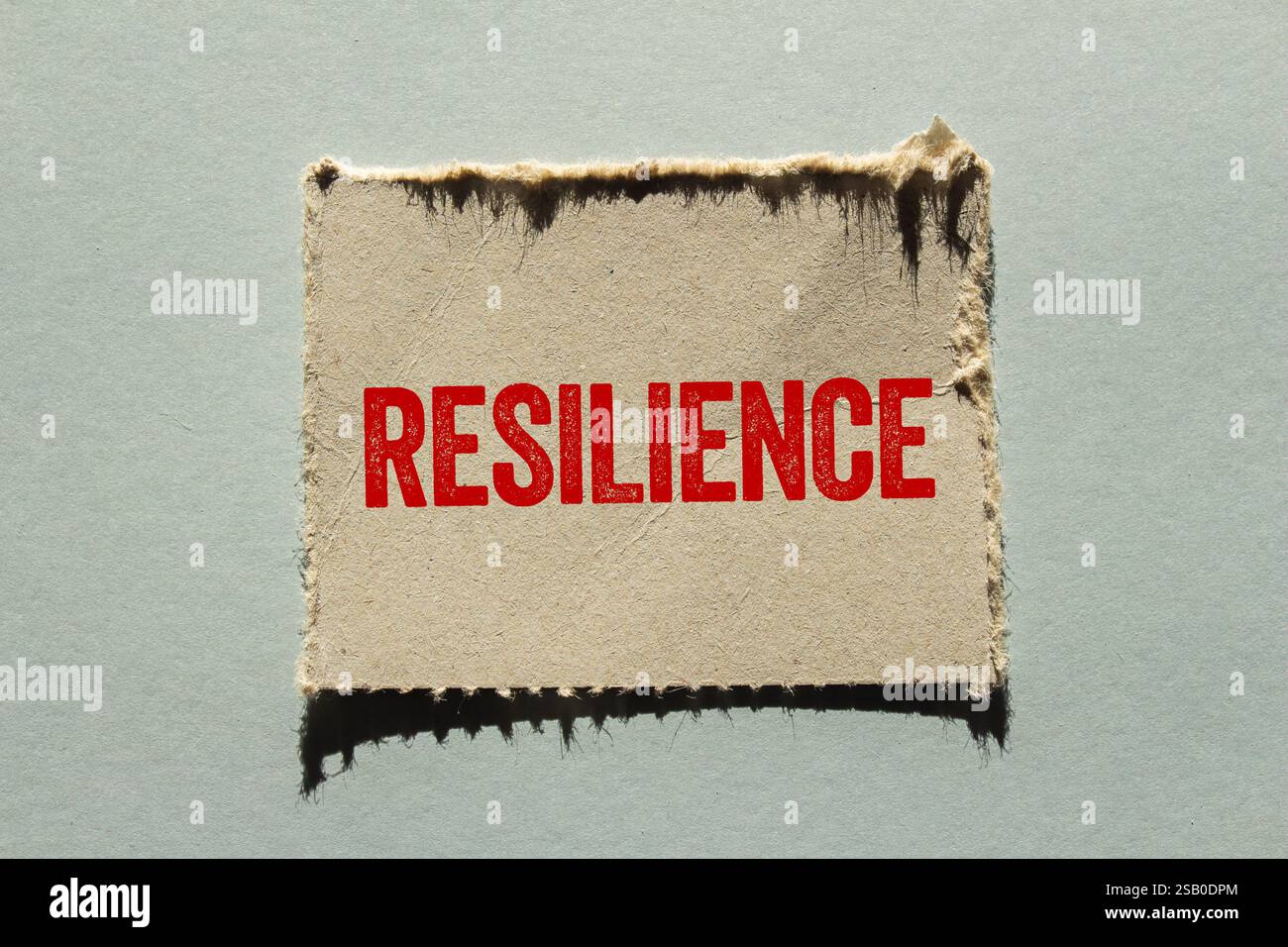 Resilience message written on ripped torn paper piece on gray ...