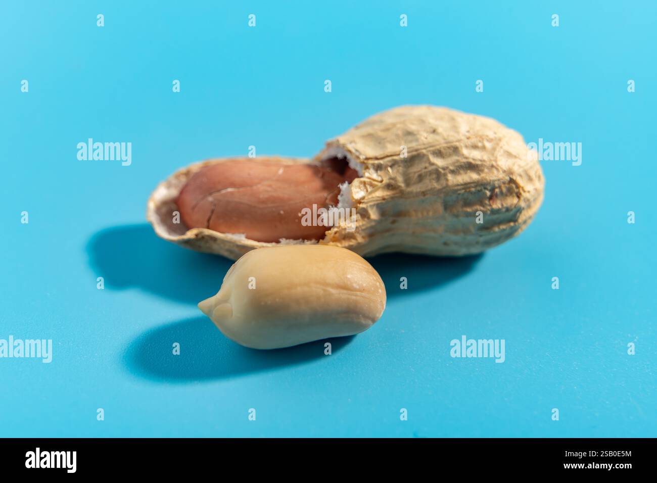 A peanut shell with a peanut inside of it. The peanut is partially ...