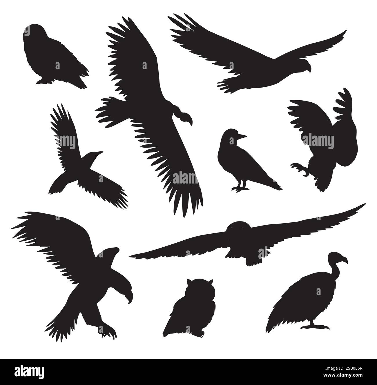 Vector set bundle of black hand drawn wild predator bird silhouette ...