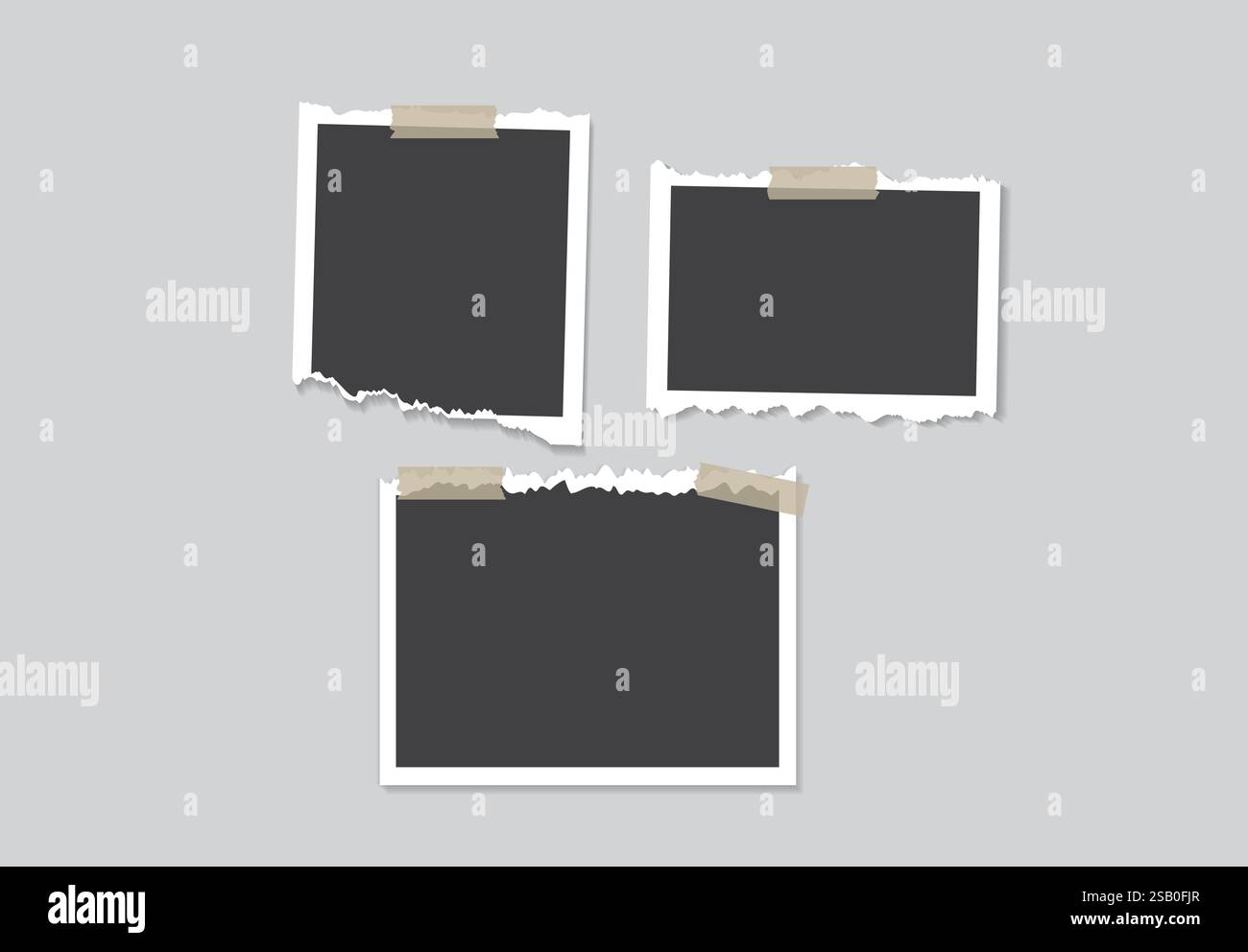 Simple elegant mood board photo collage white background Stock Vector ...