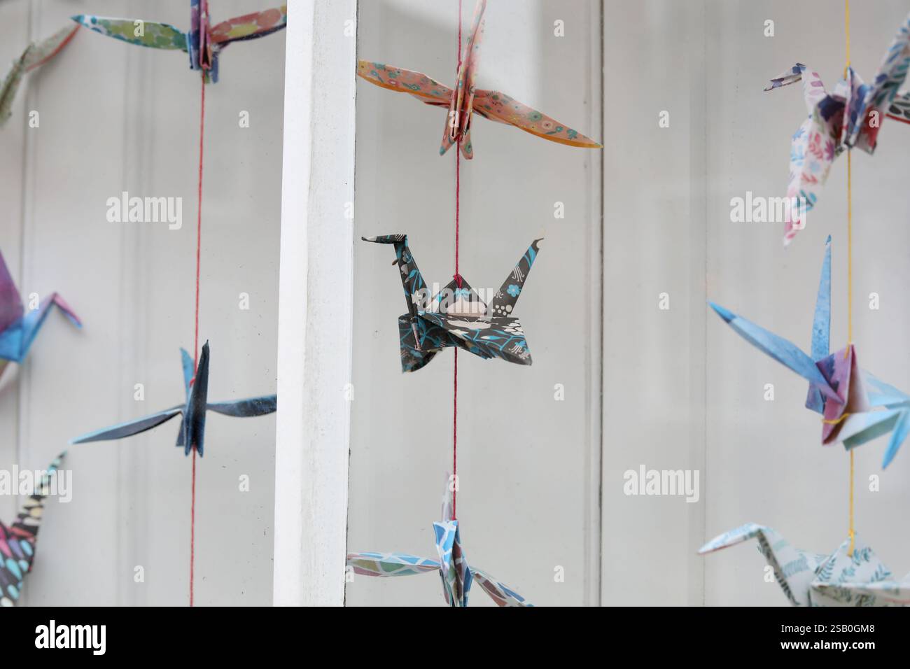 A selection of Orizuru, origami crane or paper cranes, a classic ...