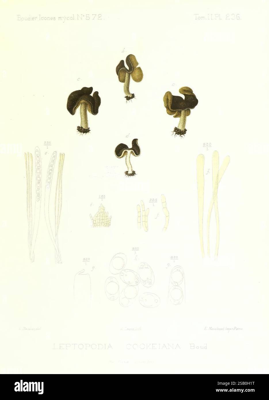 The illustration features various detailed scientific representations ...