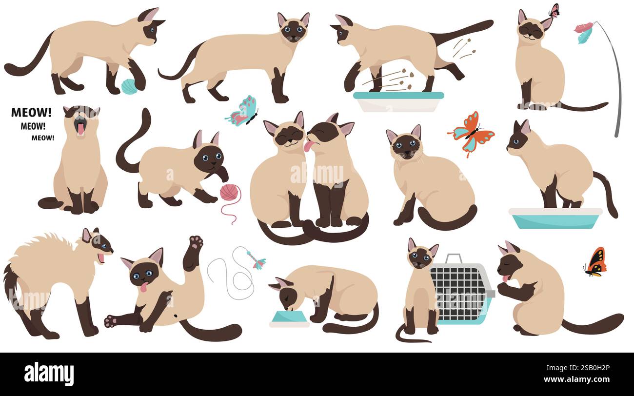 Cartoon cat characters collection. Different cat`s poses, yoga and ...