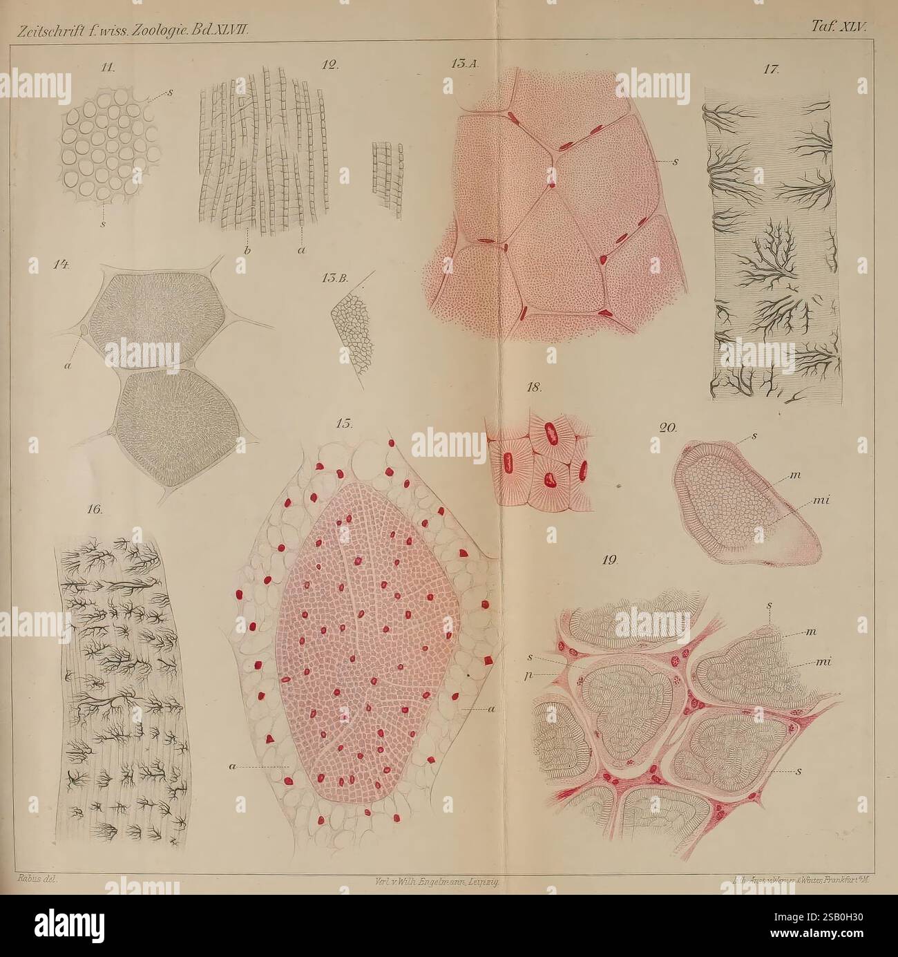 Internal configurations hi-res stock photography and images - Alamy