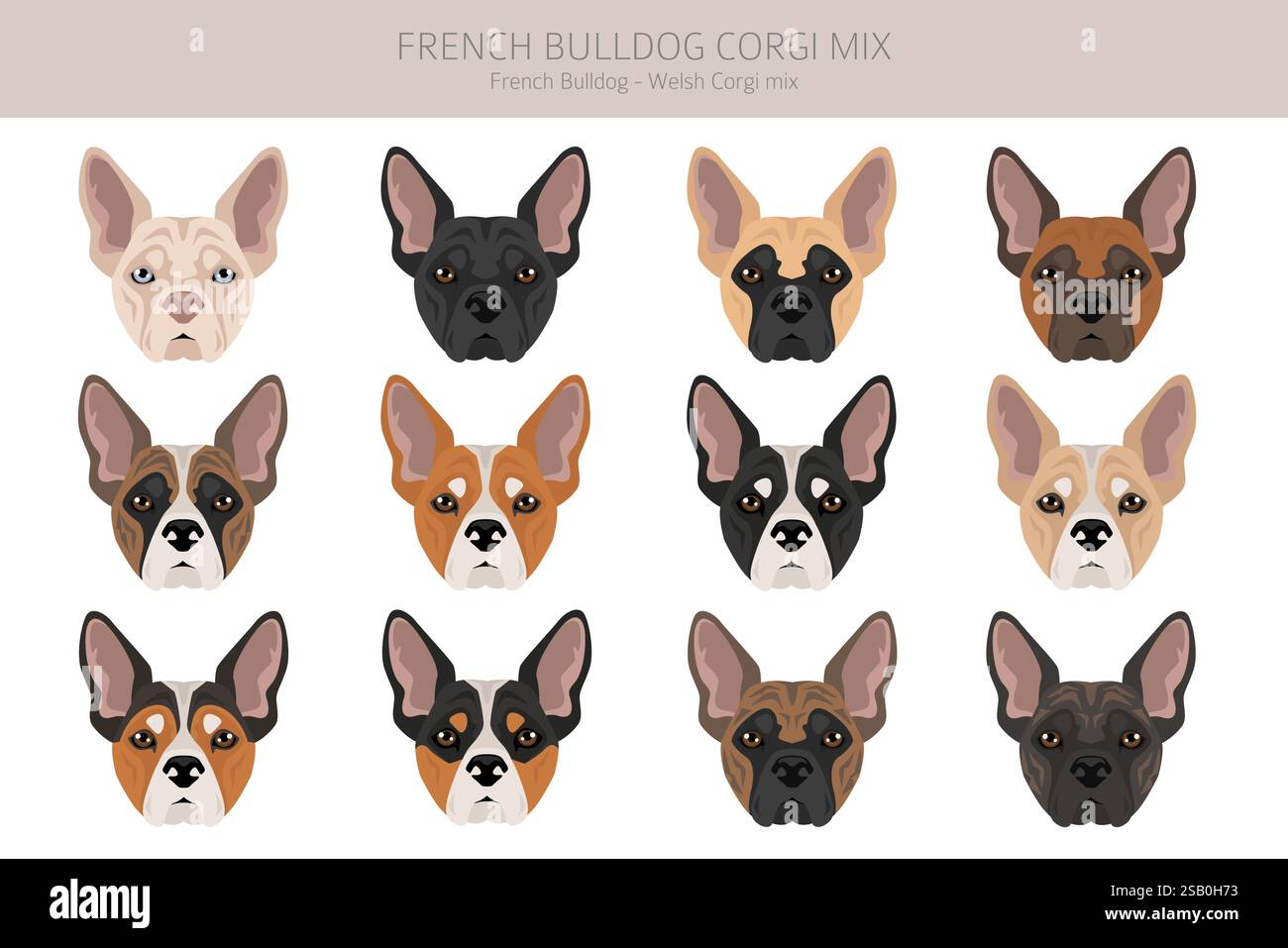 French Bulldog Corgi clipart. French Bulldog - Welsh Corgi mix. All ...