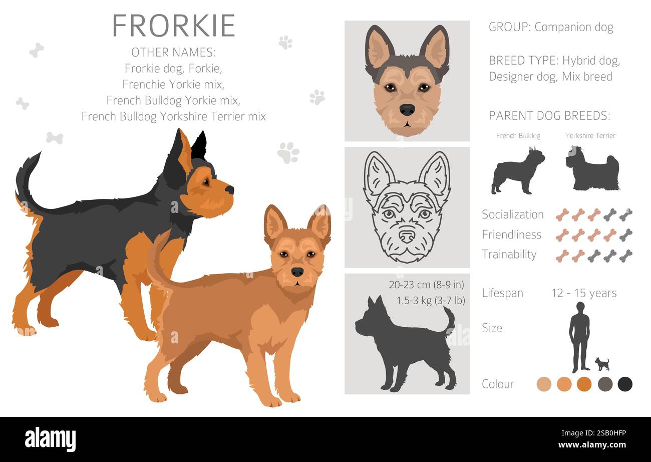 Mixed breed terrier sitting Stock Vector Images - Alamy