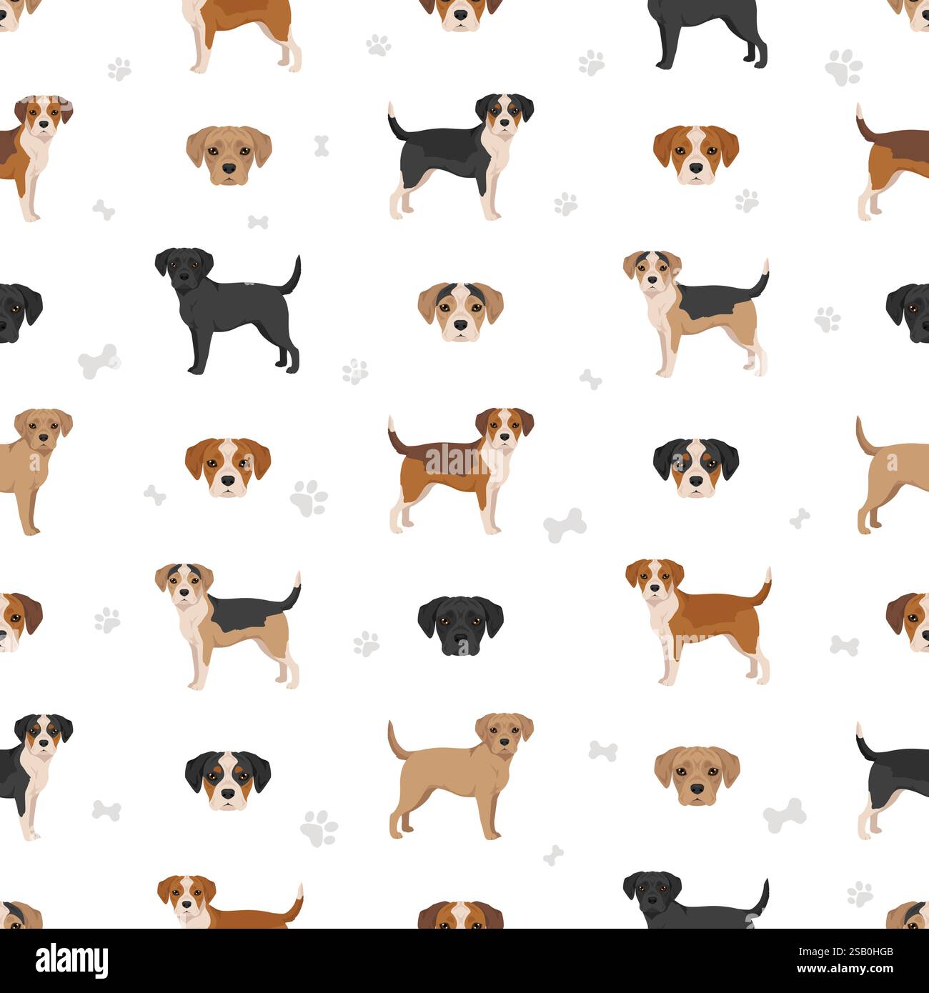 Frengle seamless pattern French Bulldog - Beagle mix. All possible coat ...
