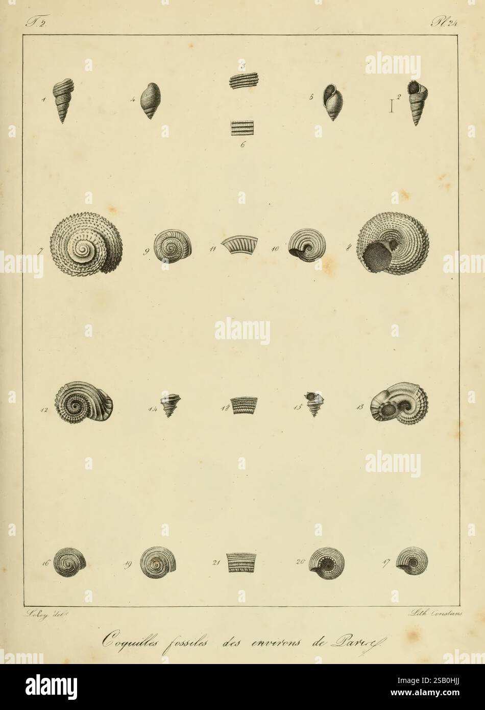 Del enemigo de pareto hi-res stock photography and images - Alamy