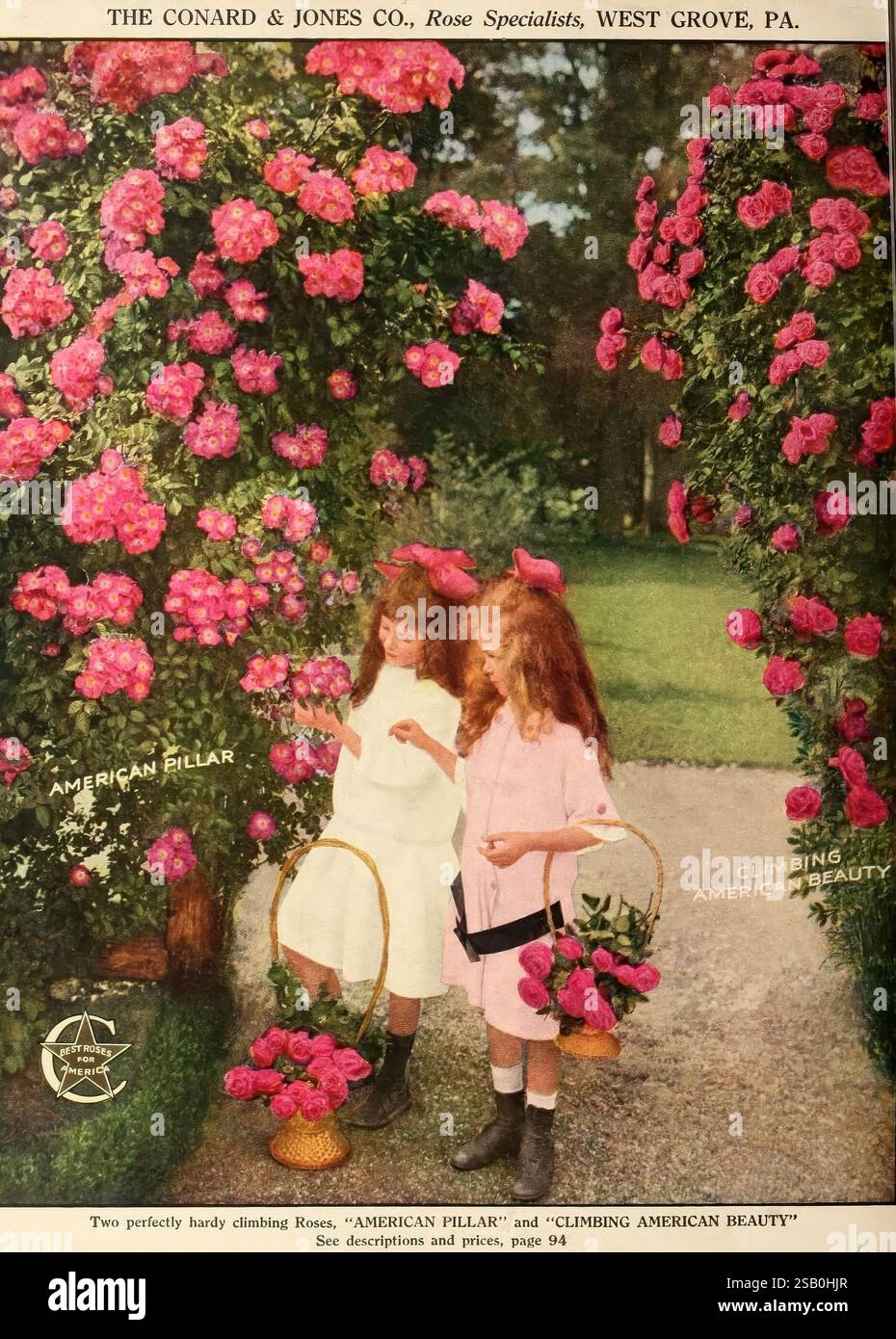 Floral guide, West Grove, Pa, Conard & Jones Co, 1918, roses, catalogs ...