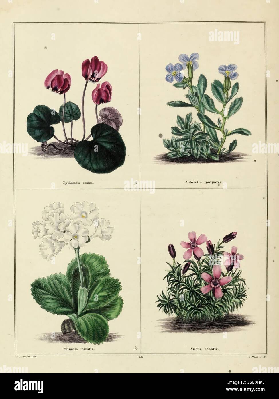 Bottom right quadrant highlights hi-res stock photography and images ...