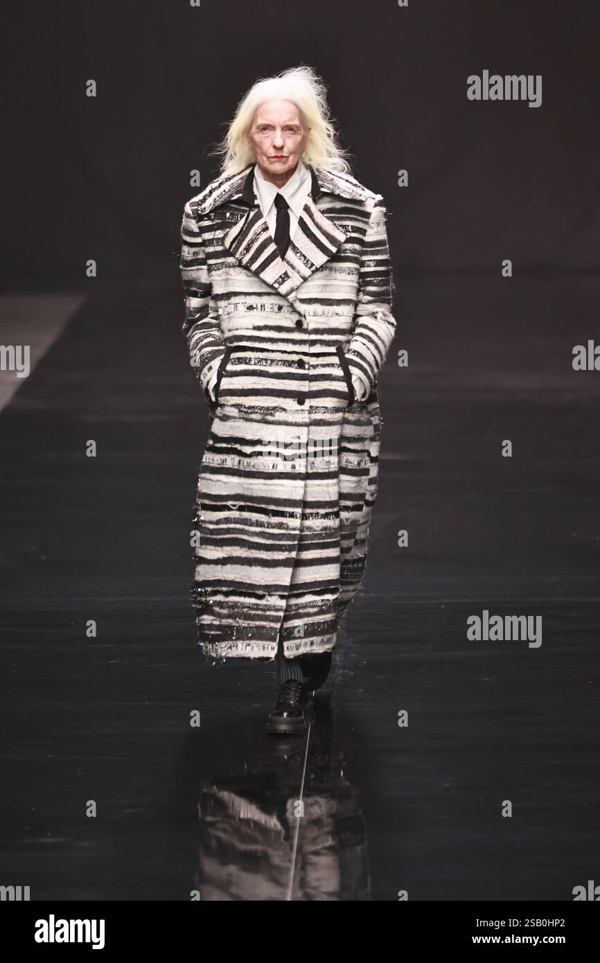 BERLIN, GERMANY - January 31: A model walks the runway during the Danny ...