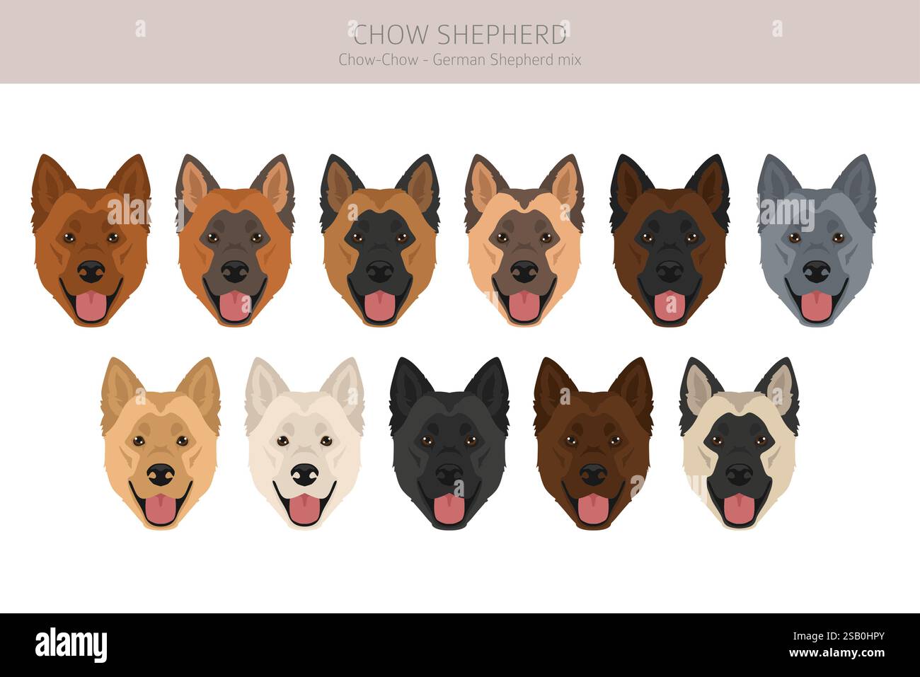 Chow Shepherd mix clipart. Chow chow German Shepherd mix. Different ...