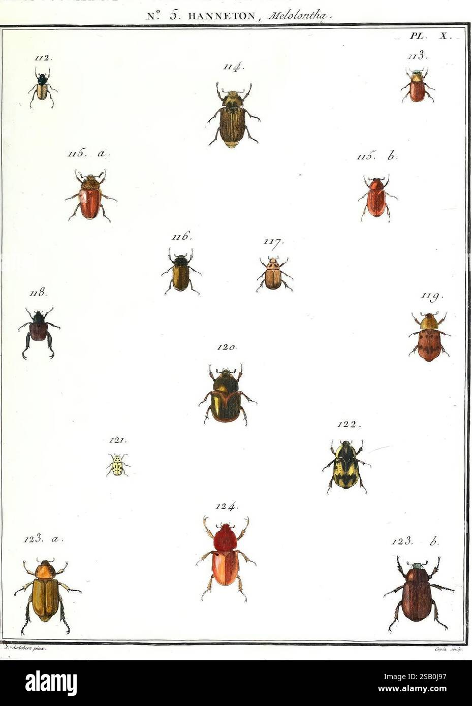 Entomologie ou Histoire naturelle des insectes, Paris, Imp. Baudouin ...