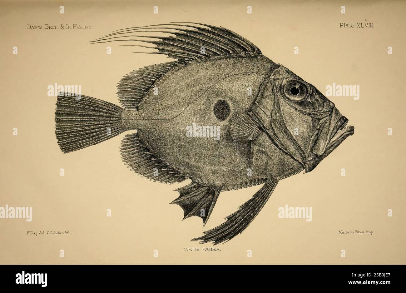 The fishes of Great Britain and Ireland, Edinburgh, 1880-1884, fishes ...