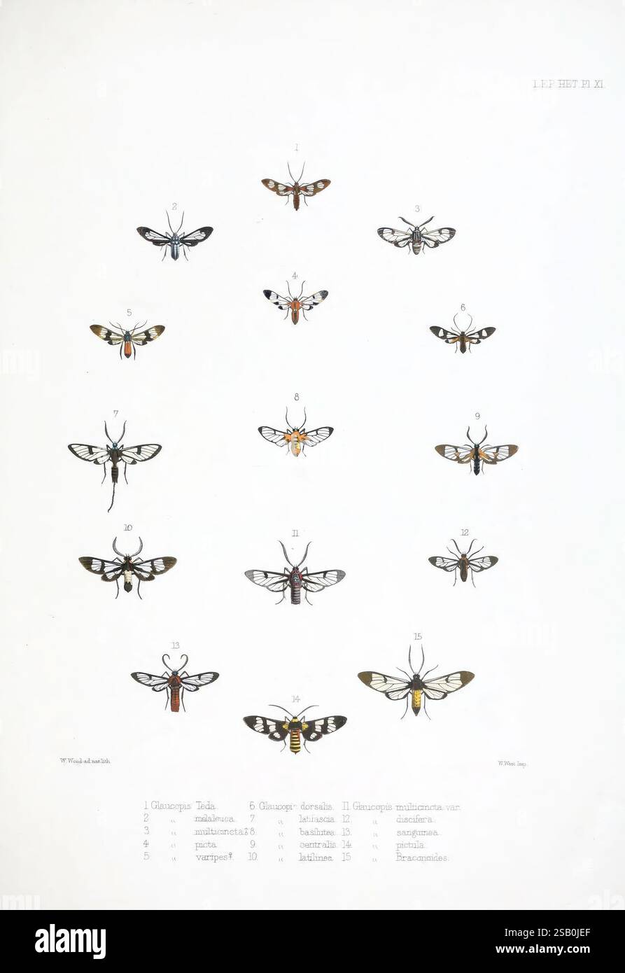 Precise labels identifying hi-res stock photography and images - Alamy