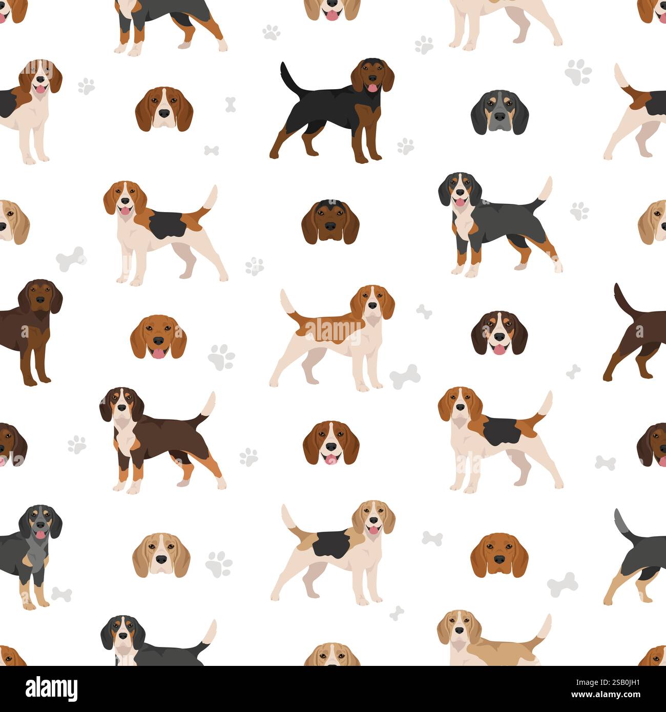 Beagle dog dog seamless pattern. All coat colors set. Different ...