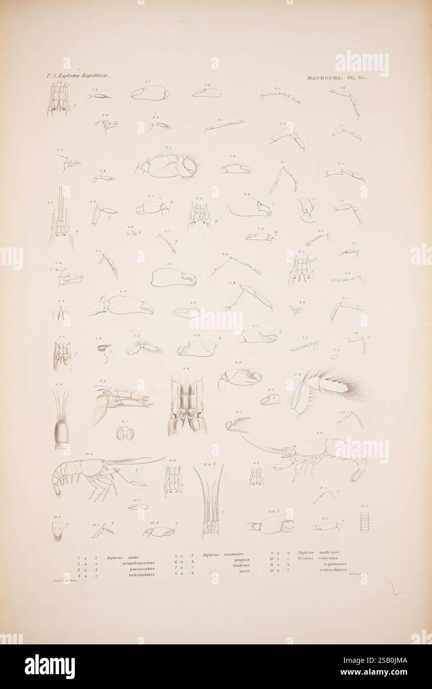 Descriptions of different parts hi-res stock photography and images - Alamy