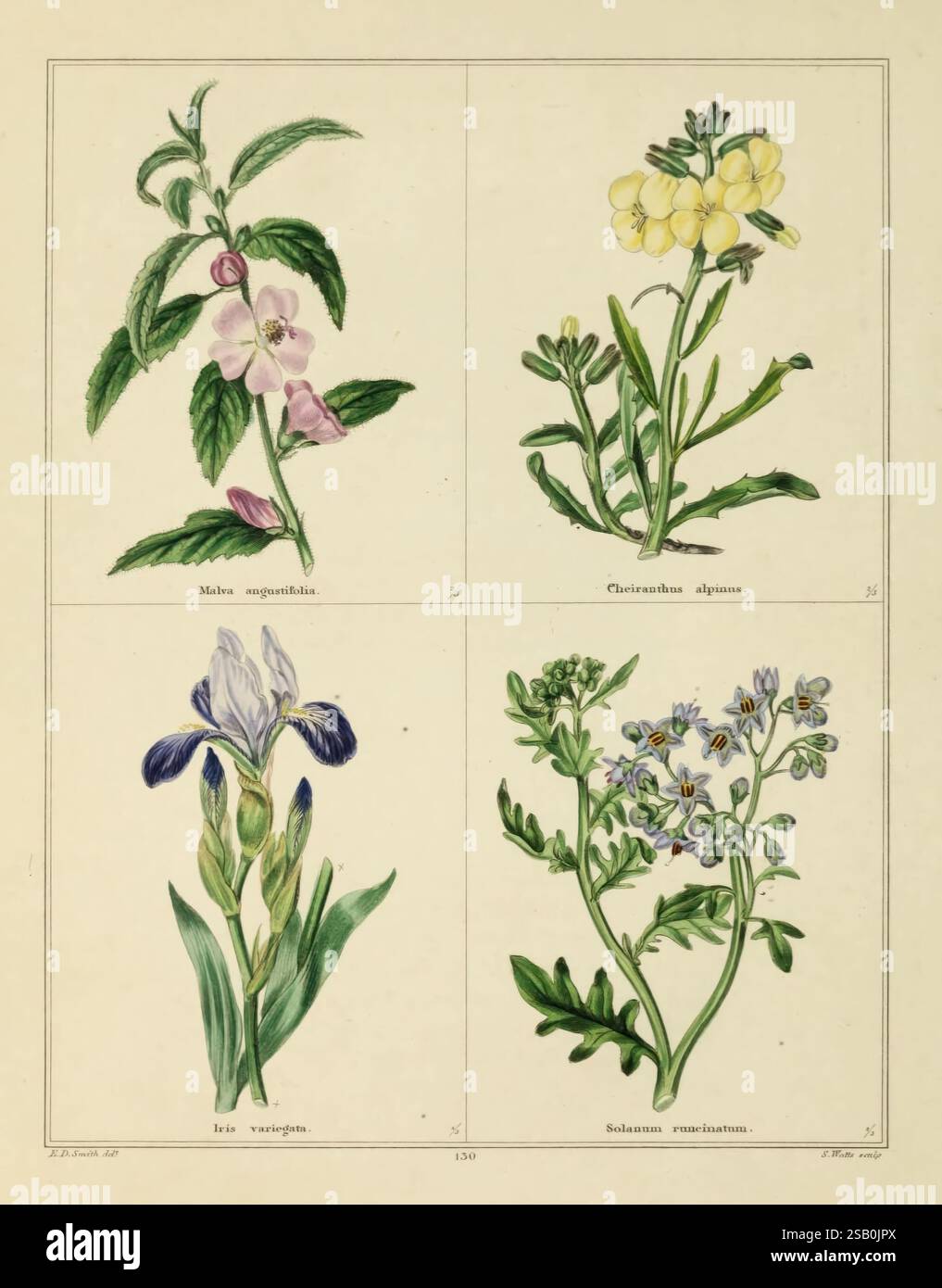 The botanic garden, London, Simpkin & Marshall, 1825, botany ...