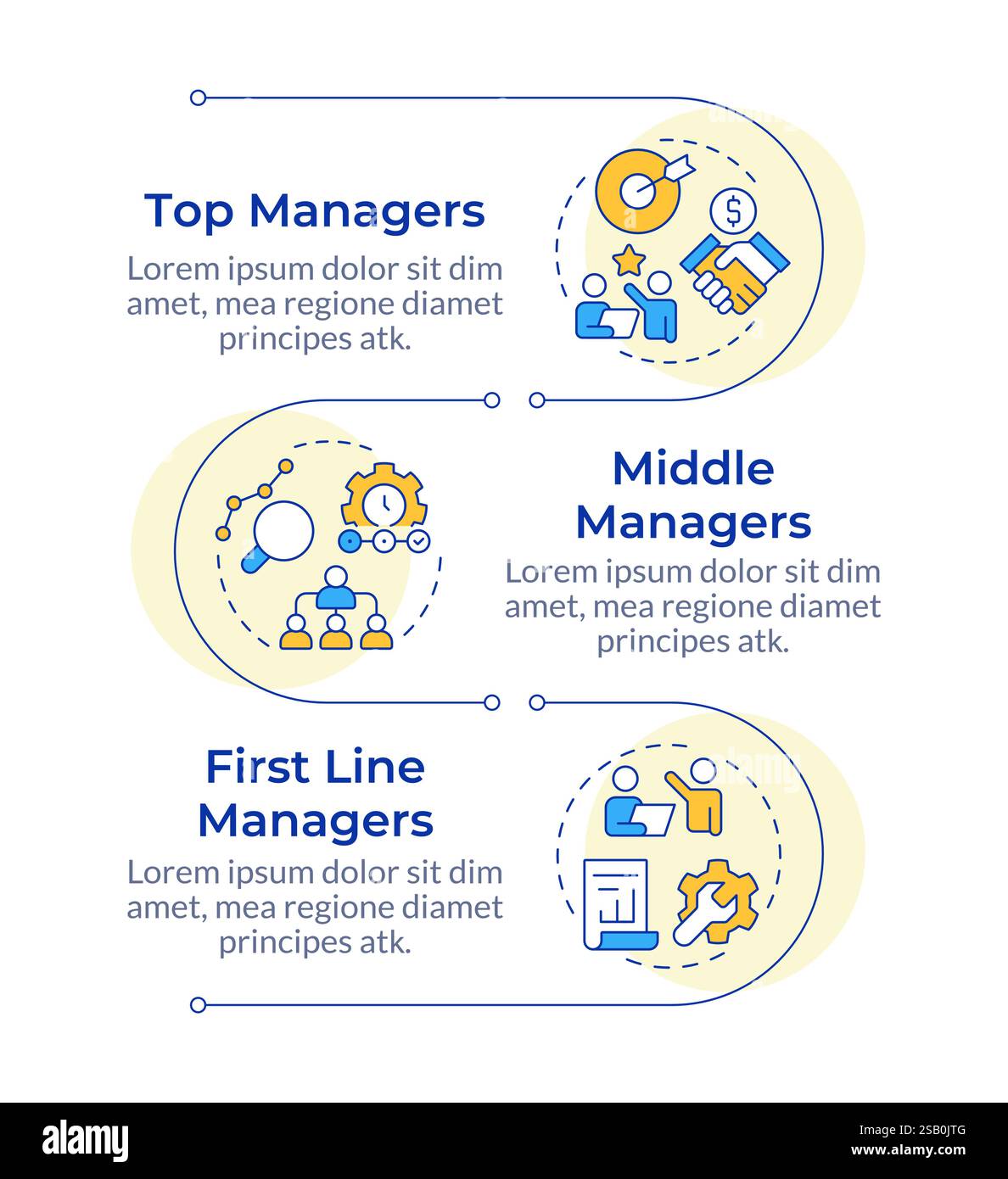 Levels of management infographic vertical sequence Stock Vector Image & Art - Alamy