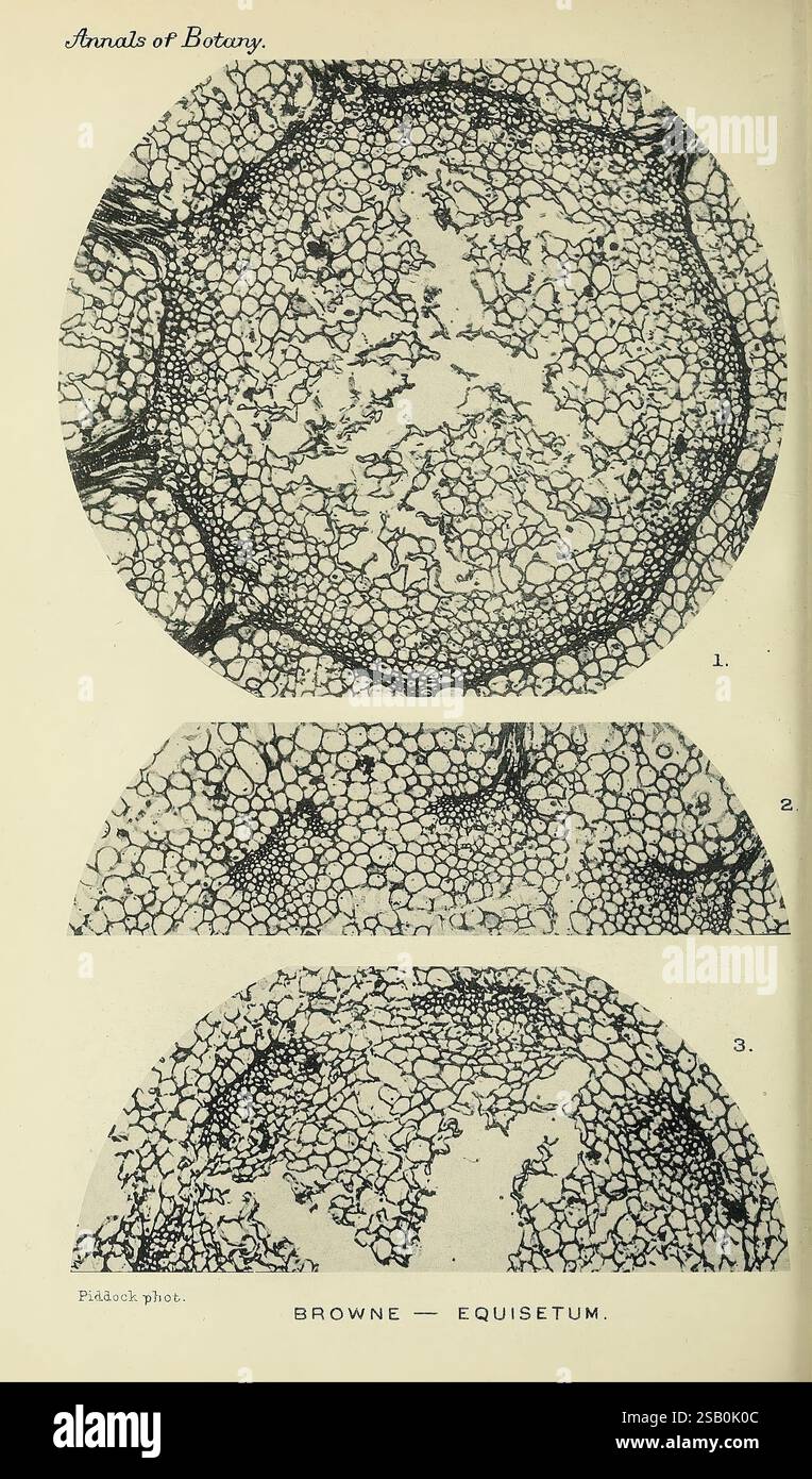 Cross sectional diagrams hi-res stock photography and images - Alamy