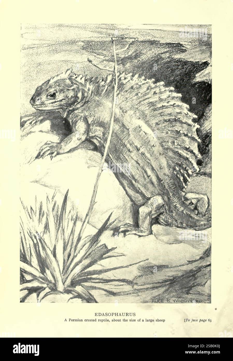 Evolution in the past, London, Herbert and Daniel, 1912, evolution ...