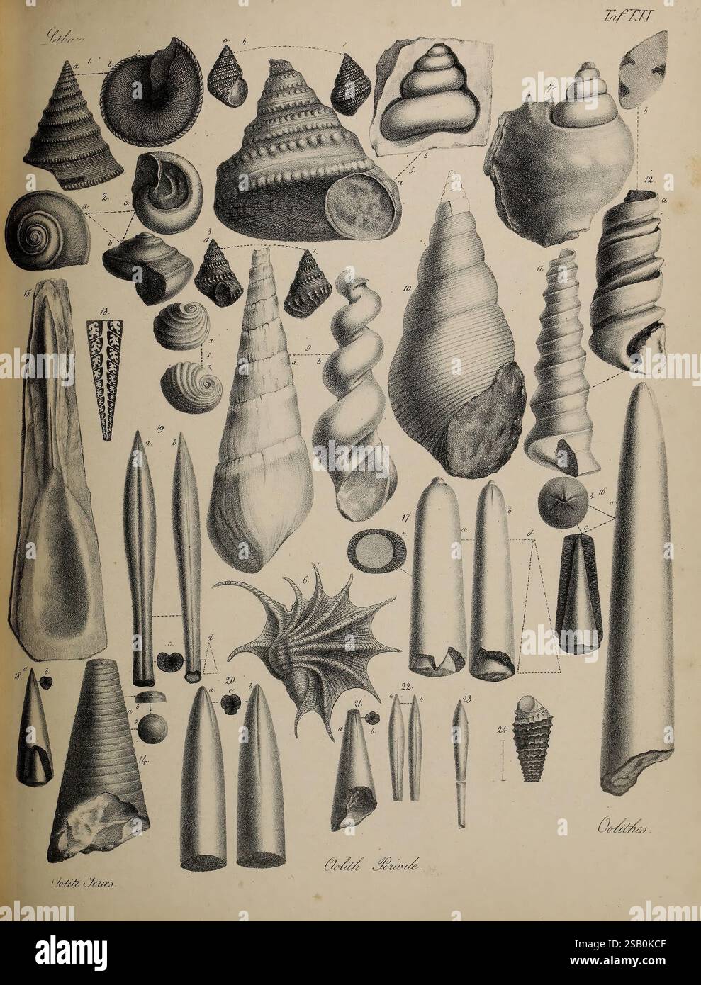 Swirling conical shapes hi-res stock photography and images - Alamy