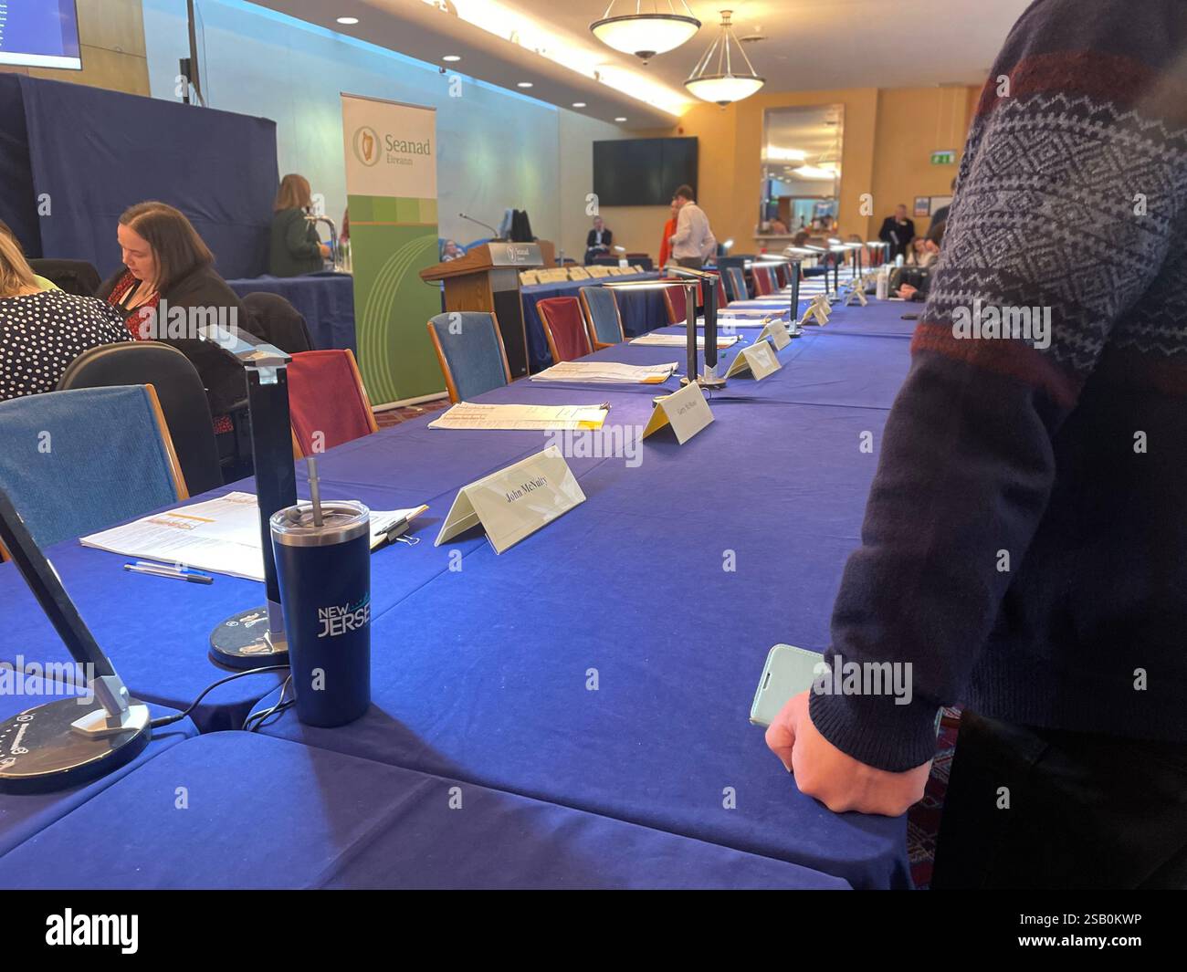 Counting in the Seanad elections continues at Leinster House in Dublin ...