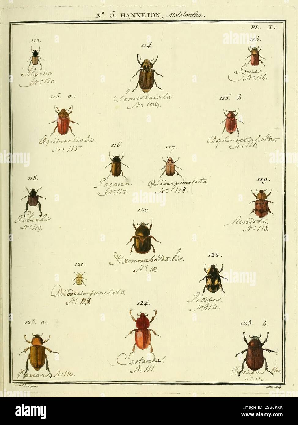 Entomologie, ou, Histoire naturelle des insectes, A Paris, De l ...