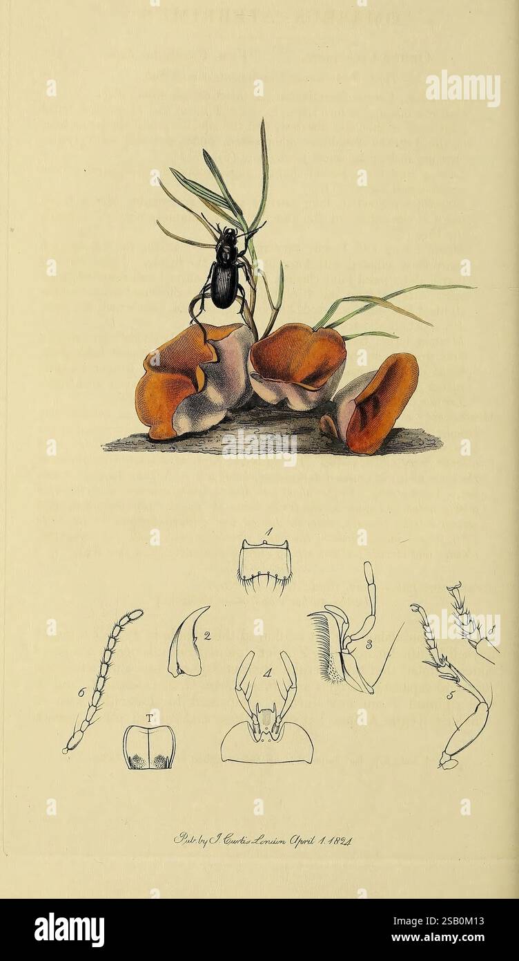 Diversity john curtis hi-res stock photography and images - Alamy