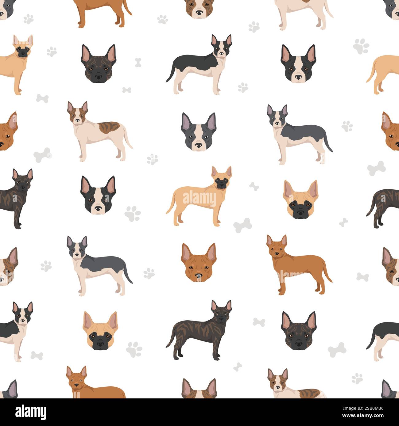 Pitbull mixed Stock Vector Images - Alamy